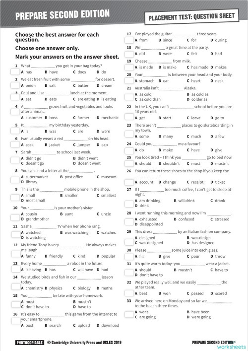 PREPARE - PLACEMENT. Interactive worksheet | TopWorksheets