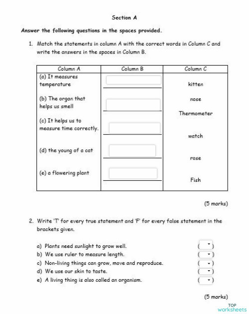 Tahun 4: interactive worksheets and online exercises | TopWorksheets