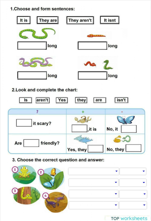En3-U1-Animals- Open Up 3. Interactive worksheet | TopWorksheets