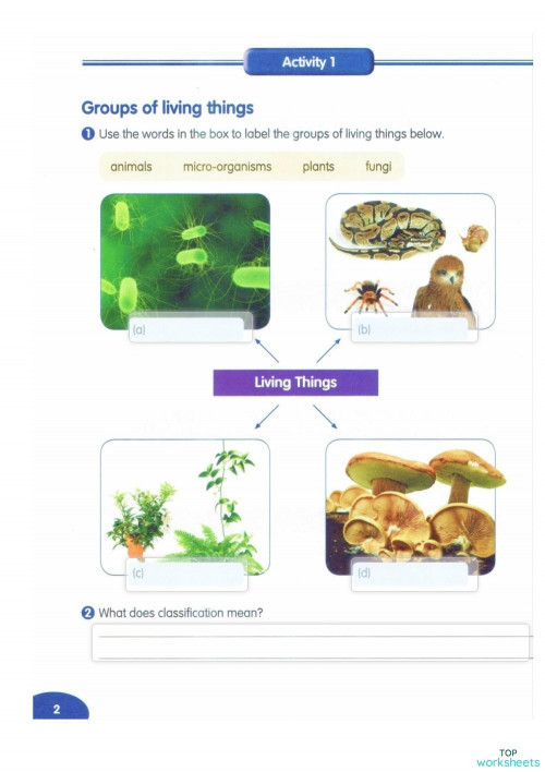 Yr5: Activity 1. Interactive worksheet | TopWorksheets