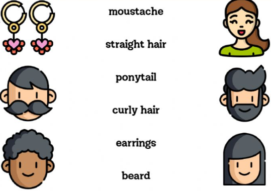 face and hair 1. Interactive worksheet | TopWorksheets