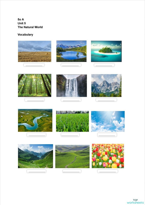 connect color. Interactive worksheet | TopWorksheets