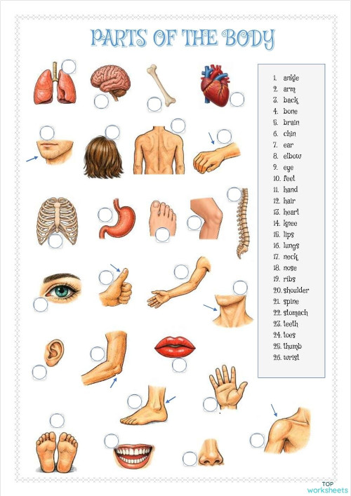 Medical Supplies & medical utensils. Interactive worksheet | TopWorksheets