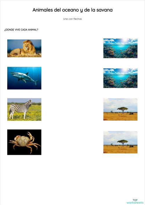 ACTIVIDAD 4. Animales del oceano y la savana. Ficha interactiva ...