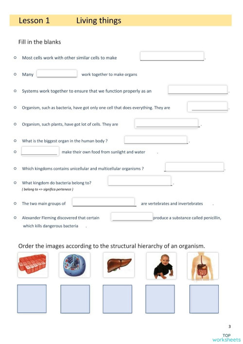 Natural Lesson 1 Living things. III. Interactive worksheet | TopWorksheets