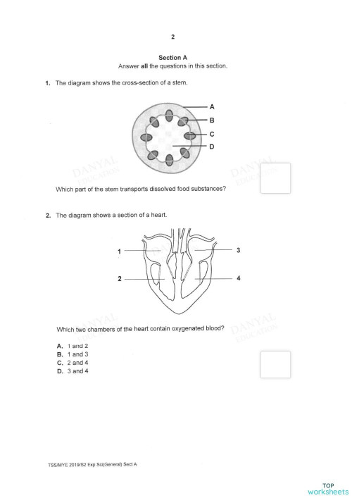 Secondary school: interactive worksheets and online exercises ...