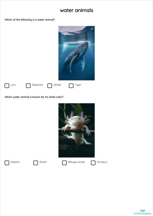 water animals. Interactive worksheet | TopWorksheets