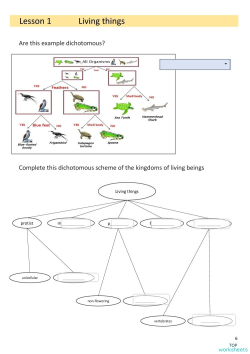 Natural Lesson 1 Living things. VI. Interactive worksheet | TopWorksheets