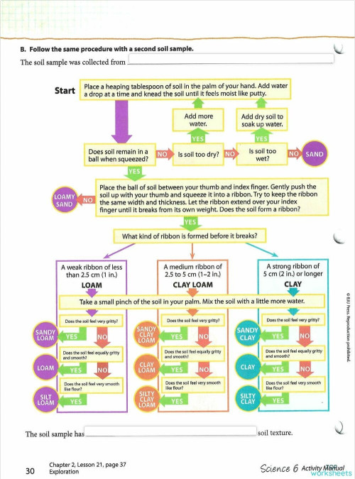 Soil Detective Pg 30. Interactive worksheet | TopWorksheets