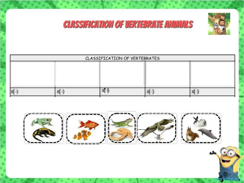 vertebrates classification. Interactive worksheet | TopWorksheets