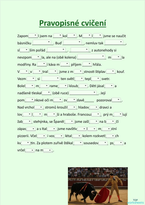 Vzory podstatných jmen - rod ženský. Interaktivní pracovní list ...