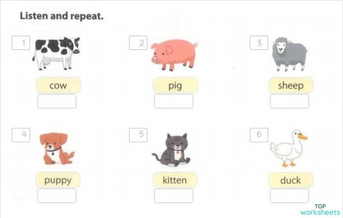There are many sheep. Interactive worksheet | TopWorksheets