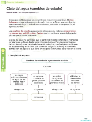 El ciclo del agua. Ficha interactiva | TopWorksheets