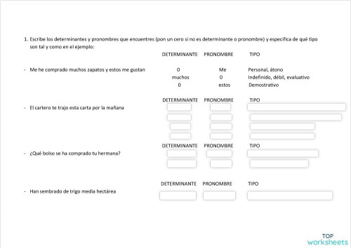 Determinantes: fichas interactivas y ejercicios online | TopWorksheets