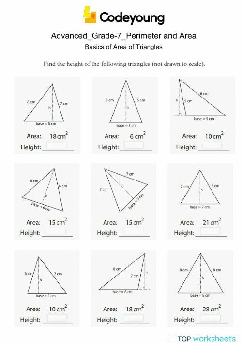 Basics of Area of Triangles Advanced. Interactive worksheet | TopWorksheets