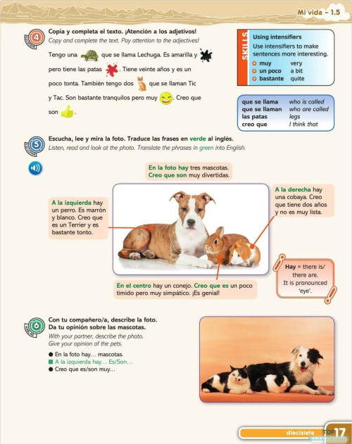 1. Mi vida 17 Viva 1. Ficha interactiva | TopWorksheets