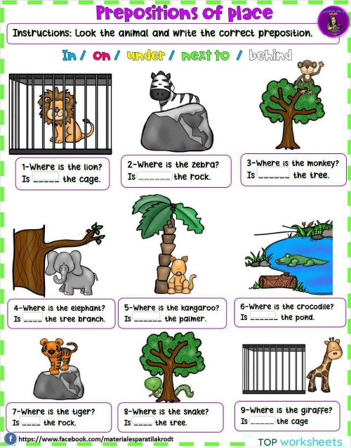 Pets _ English to Spanish. Interactive worksheet | TopWorksheets