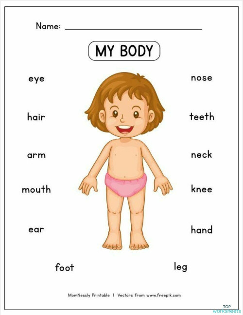 Body Parts Match. Interactive worksheet | TopWorksheets