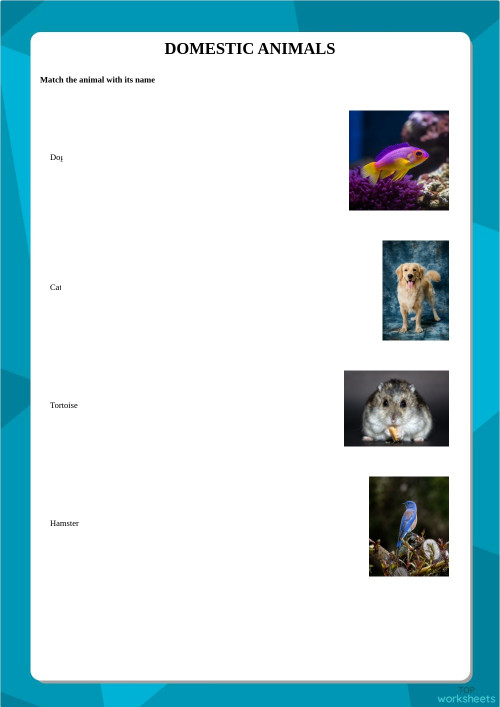 DOMESTICS ANIMALS. Interactive worksheet | TopWorksheets