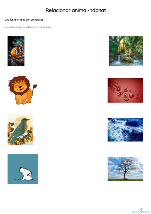 Animales : fichas interactivas y ejercicios online | TopWorksheets