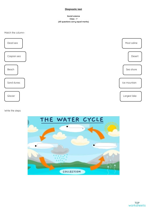 Diagnostic test. Interactive worksheet | TopWorksheets
