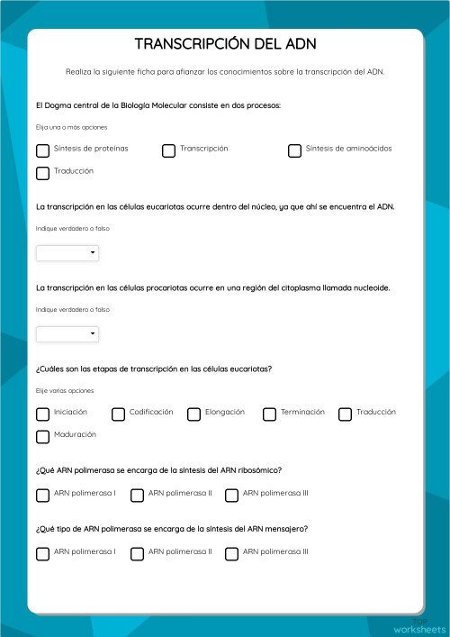 TRANSCRIPCIÓN DEL ADN. Ficha interactiva | TopWorksheets