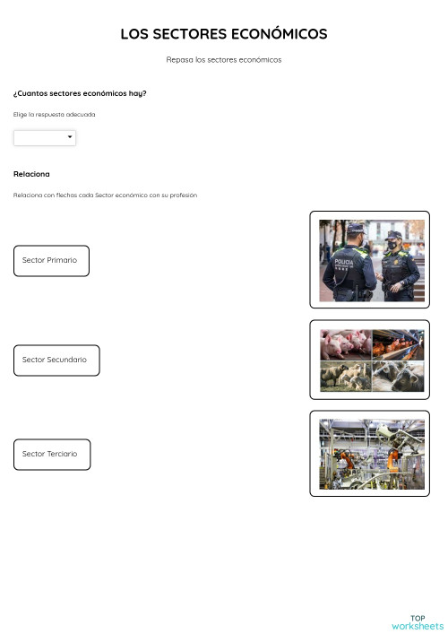 Sectores económicos: fichas interactivas y ejercicios online ...