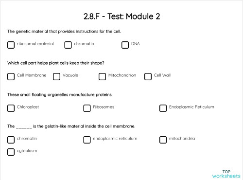 2.8.F - Test: Module 2. Interactive worksheet | TopWorksheets