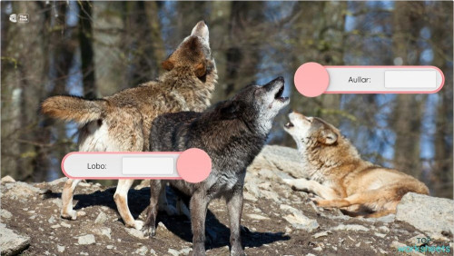 Nature and the forest. Interactive worksheet | TopWorksheets