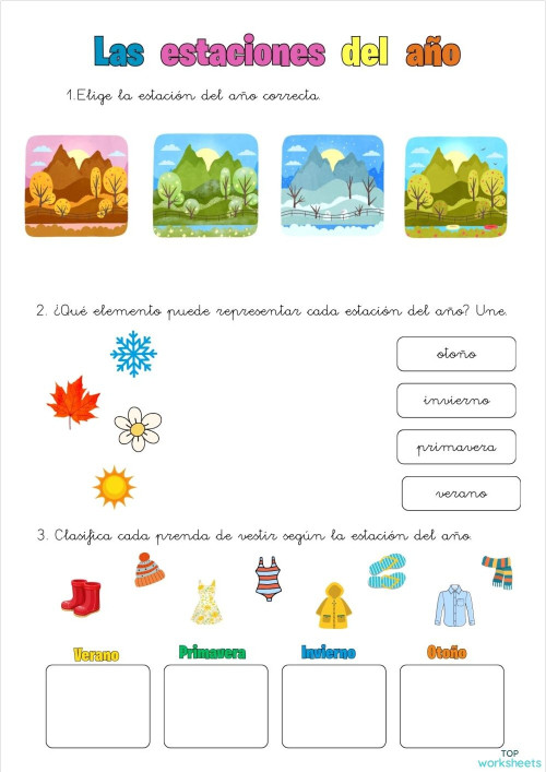 Ficha De Actividad Las Estaciones En El Rbol Twinkl