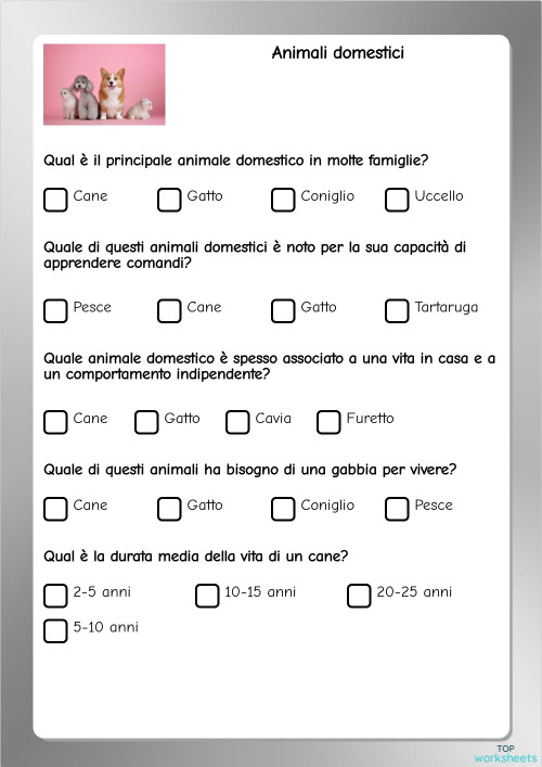 Animali domestici. Scheda interattiva | TopWorksheets