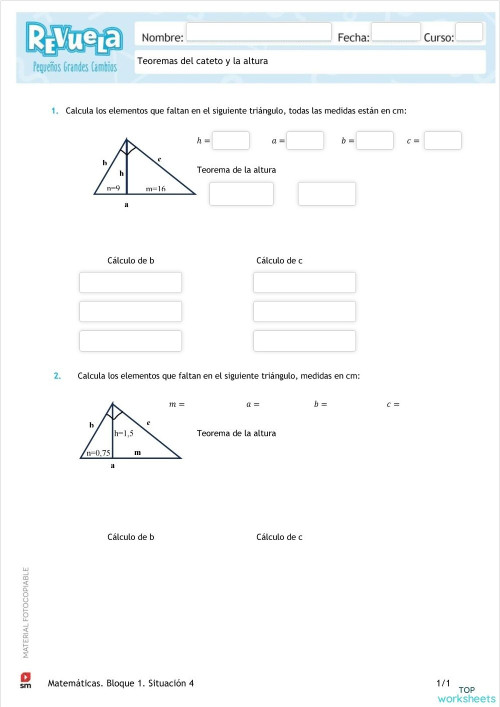 Líneas inclinada, horizontal y vertical. Ficha interactiva | TopWorksheets