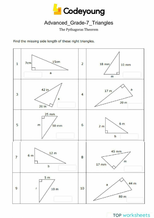 The Pythagoras Theorem Advanced. Interactive worksheet | TopWorksheets