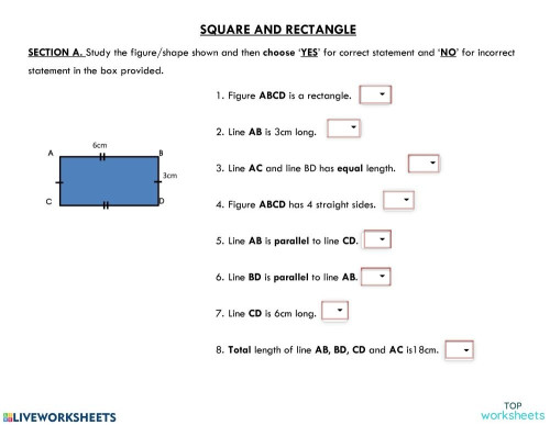 Square and rectangle. Interactive worksheet | TopWorksheets