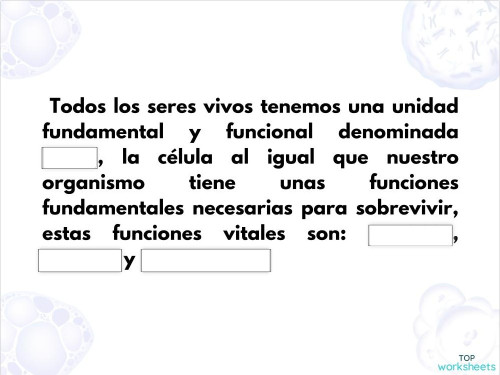 La célula animal. Ficha interactiva | TopWorksheets