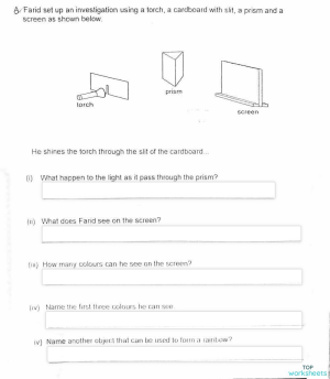 Light and Heat Energy. Interactive worksheet | TopWorksheets