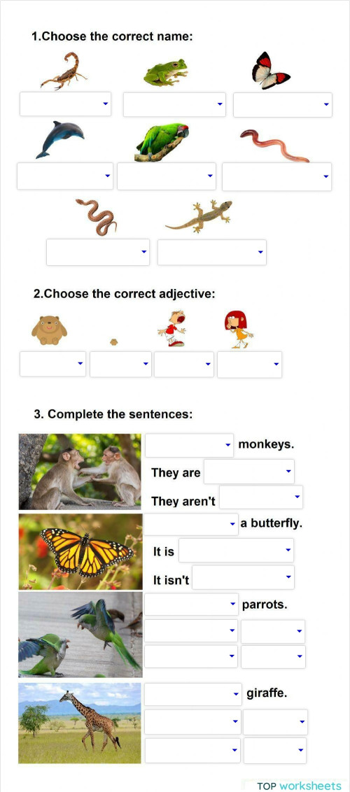 EN1-U1-Animals. Interactive worksheet | TopWorksheets