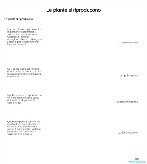 Le piante si riproducono. Scheda interattiva | TopWorksheets