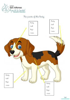 The parts of the body (animals). Interactive worksheet | TopWorksheets