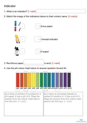 LESSON 2B Indicator. Interactive worksheet | TopWorksheets