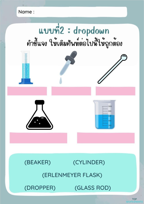 ใบงานที่ 2 Dropdown ใบงานเชิงโต้ตอบ | TopWorksheets