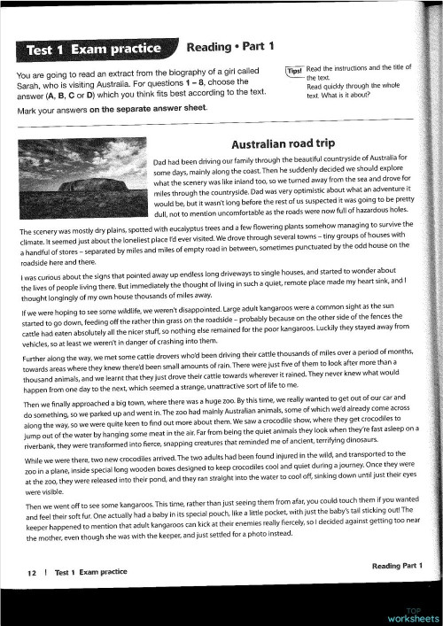 Reading Part 1 (B2). Interactive worksheet | TopWorksheets