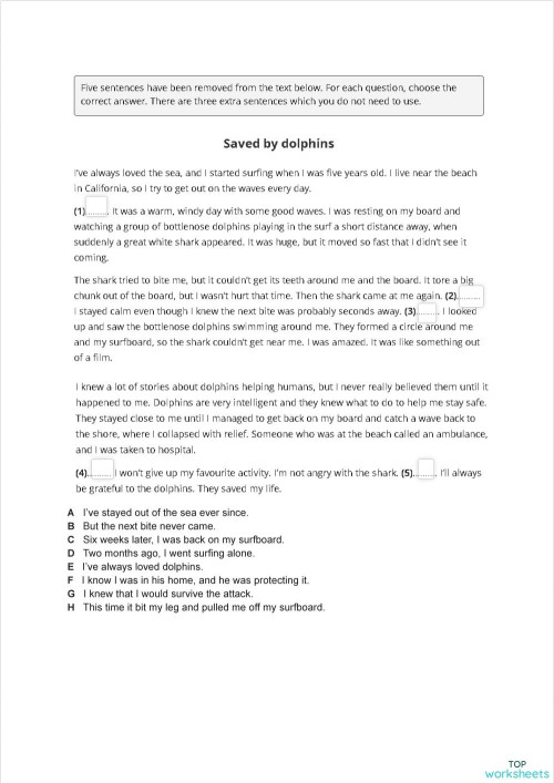 Reding Comprehension B1. Interactive worksheet | TopWorksheets
