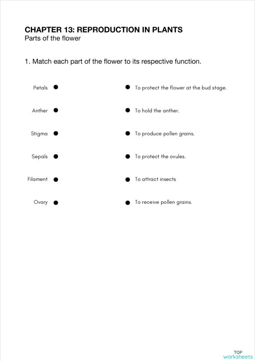 REPRODUCTION IN PLANTS. Interactive worksheet | TopWorksheets