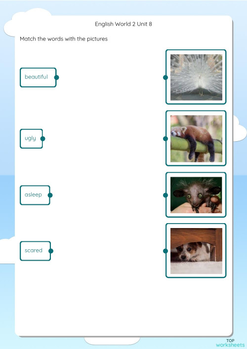 English World 2 Unit 8 Interactive Worksheet Topworksheets