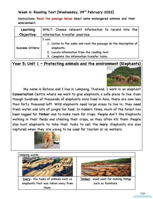 Protecting Environment and animal (Elephants Part 1). Interactive ...