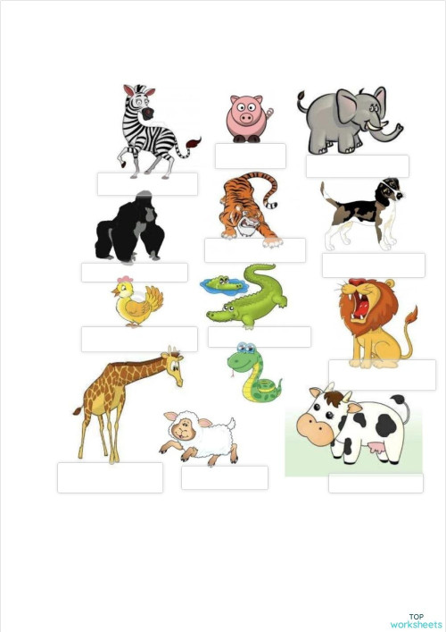 Fichas interactivas y ejercicios online en español | TopWorksheets