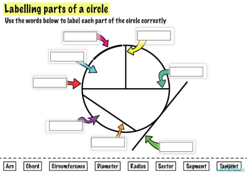 Parts of a Circle. Interactive worksheet | TopWorksheets