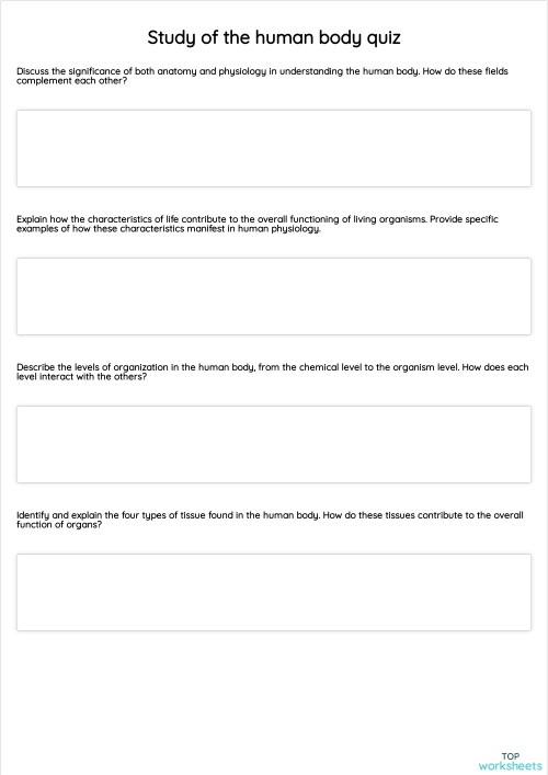 Study of the human body quiz. Interactive worksheet | TopWorksheets