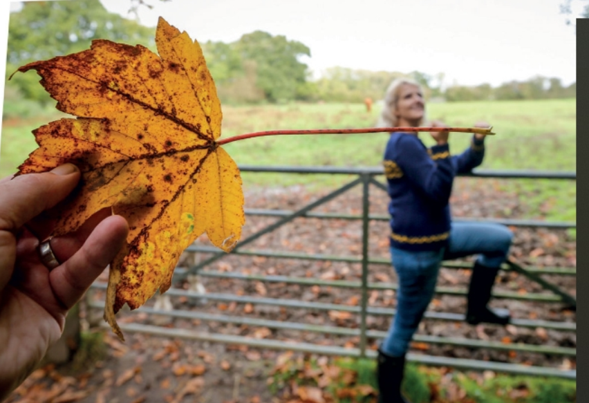 UNIT 20 GRAMMAR PAG 82. Interactive worksheet | TopWorksheets